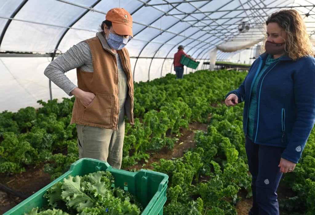 Food Dignity® CONNECT - Food Dignity®